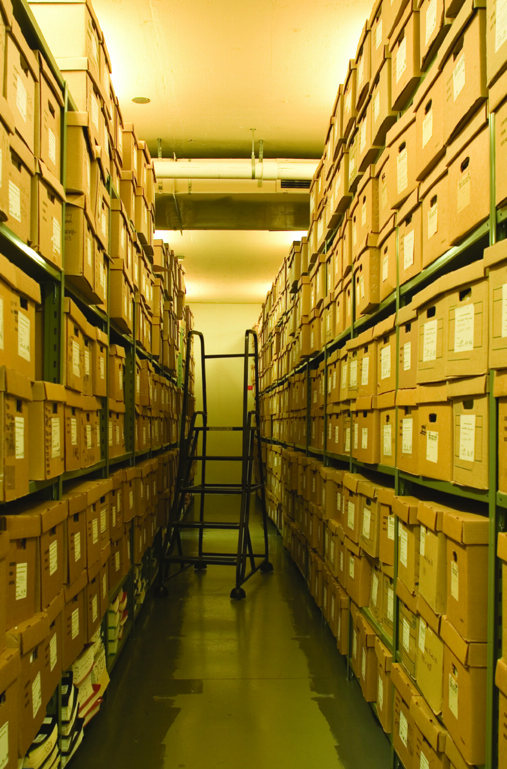 What We Do – policesolutions.ca